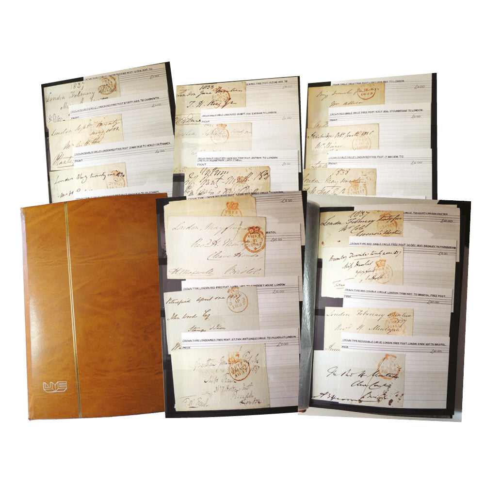 Free-Frank Fronts Collection