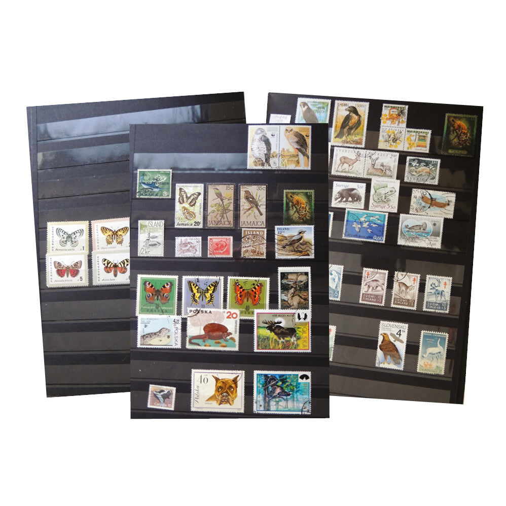 Wildlife Thematic Collection